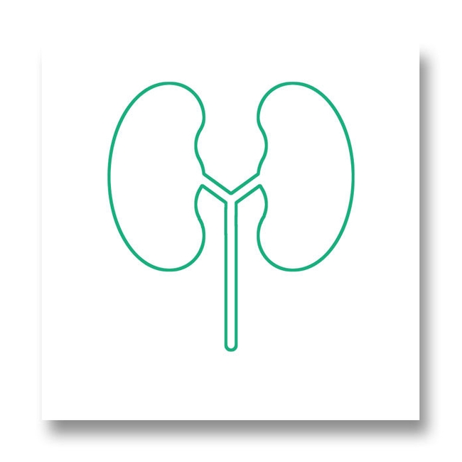 Innovation Hub - B. Braun